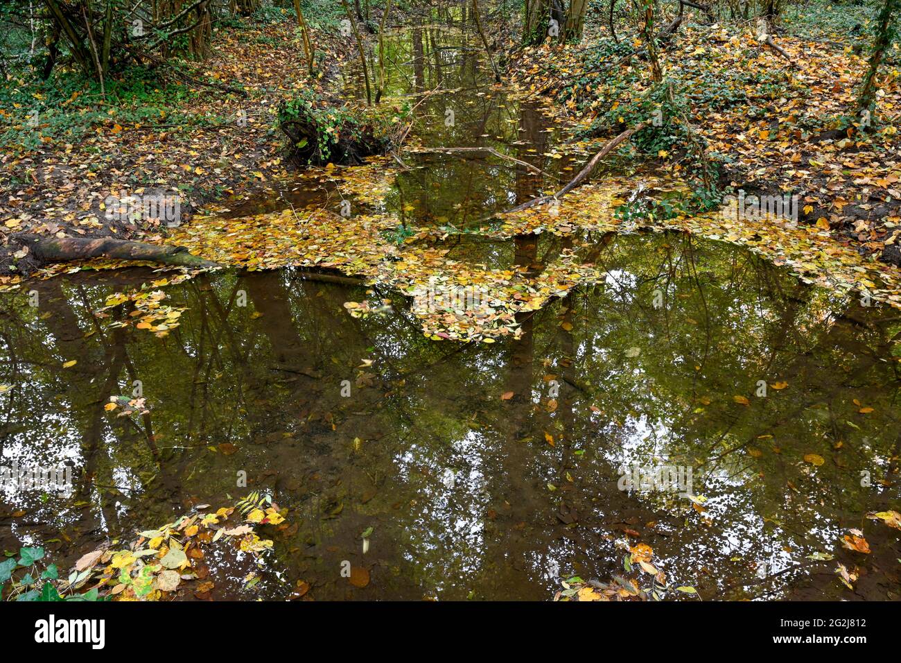 Autumn water hi-res stock photography and images - Alamy