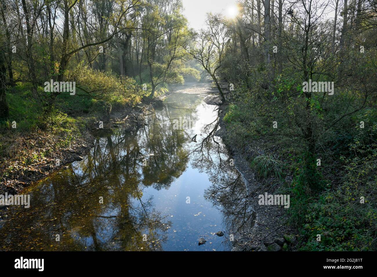 The old rhine near au am rhein hi-res stock photography and images - Alamy
