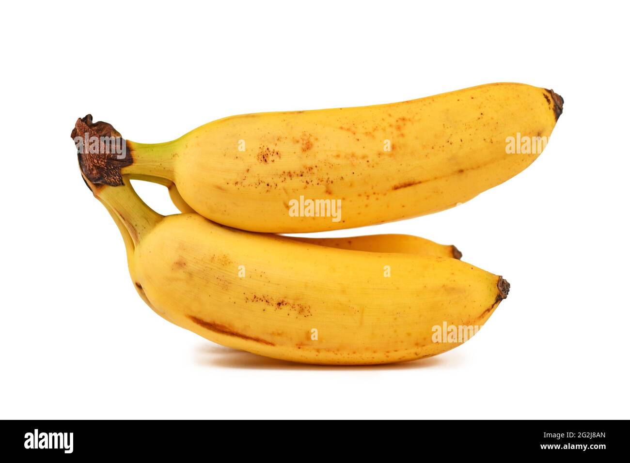Small snack bananas isolated on white background Stock Photo - Alamy