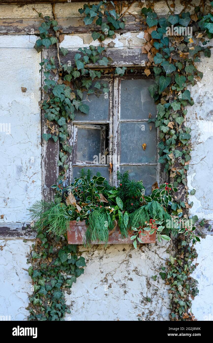 Old weathered window Stock Photo - Alamy