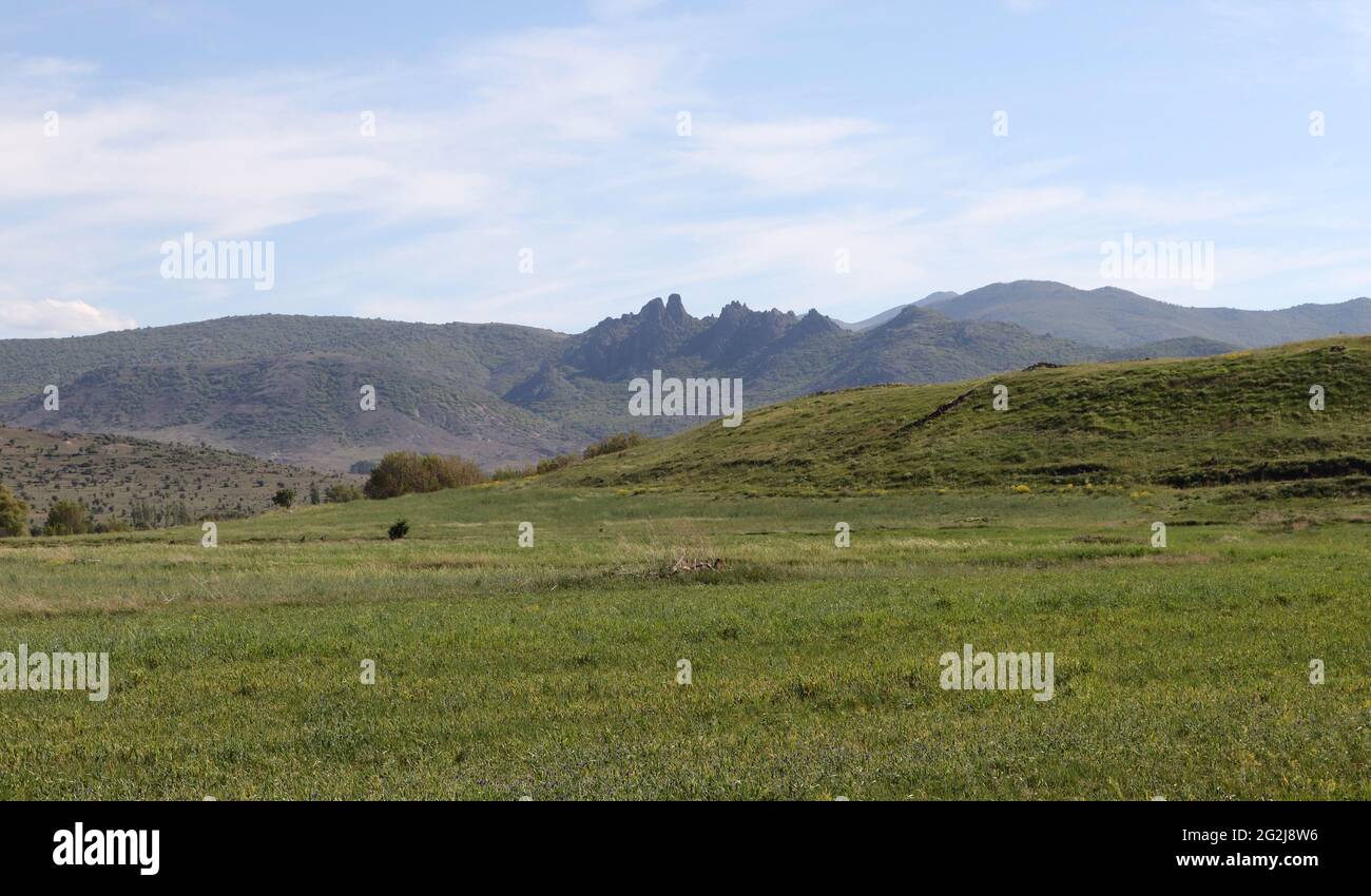 Cultivated land in the countryside. Agriculture concept Stock Photo - Alamy