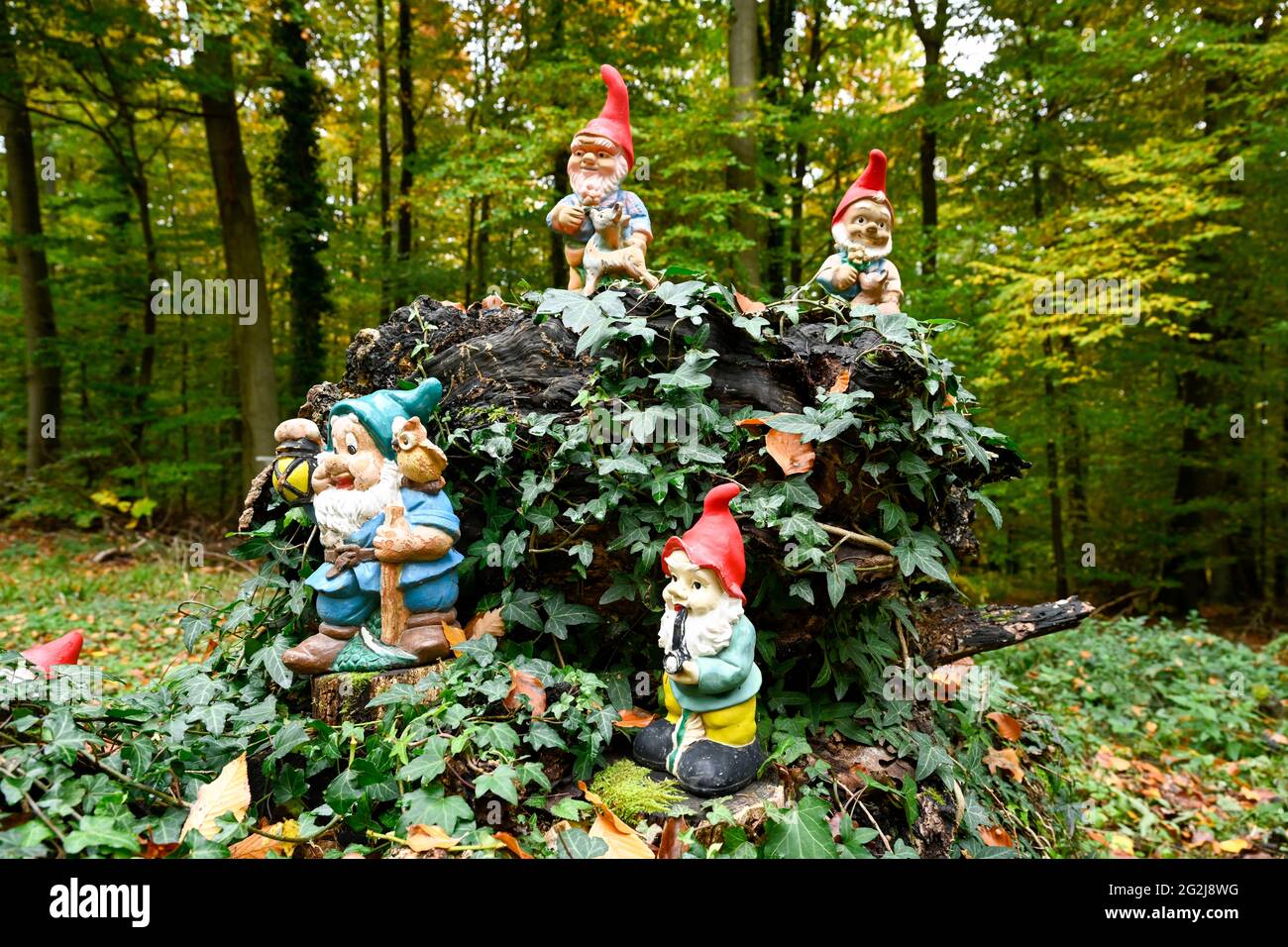 Germany, garden gnomes at a forest hut Stock Photo - Alamy