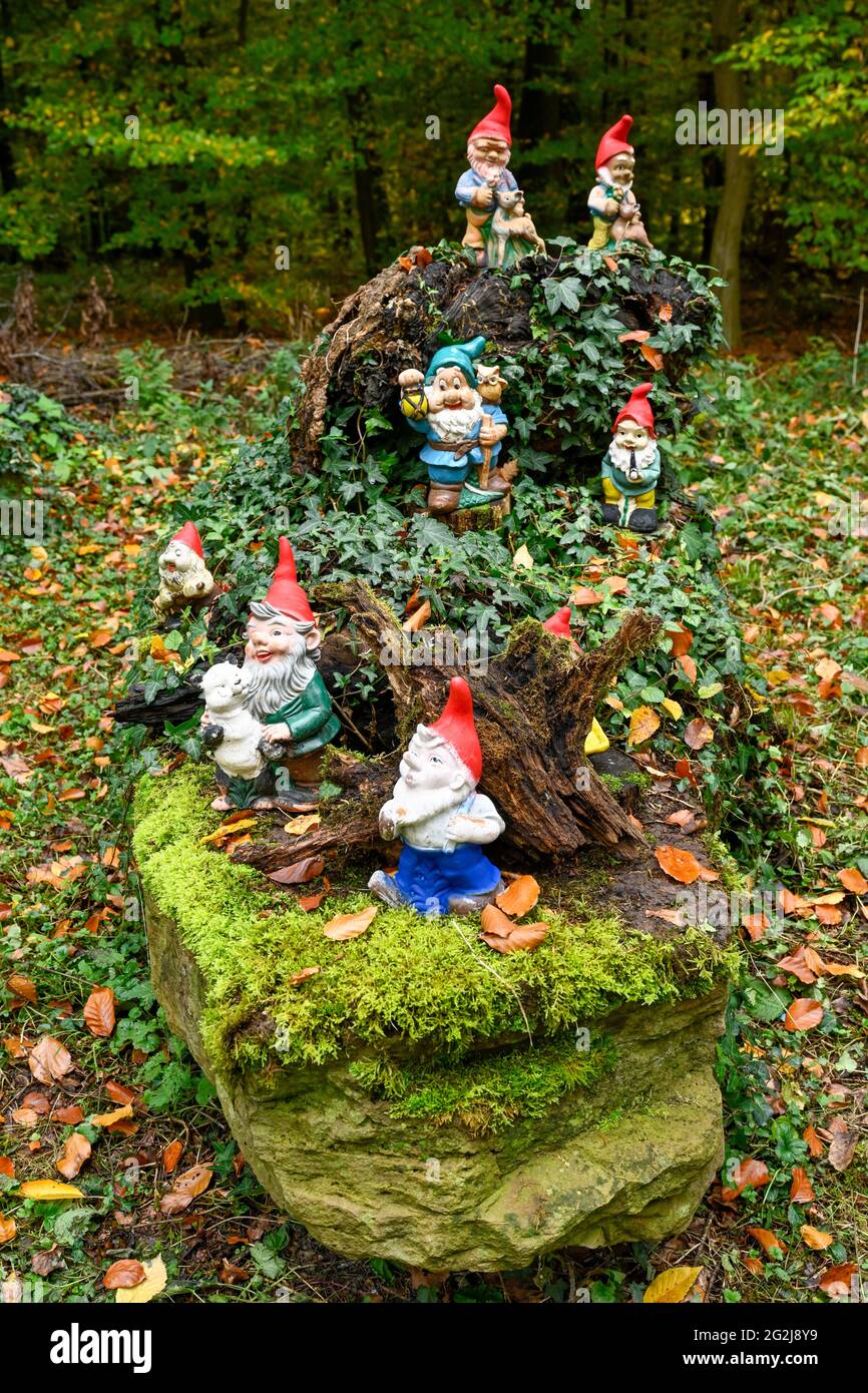 Germany, garden gnomes at a forest hut Stock Photo - Alamy