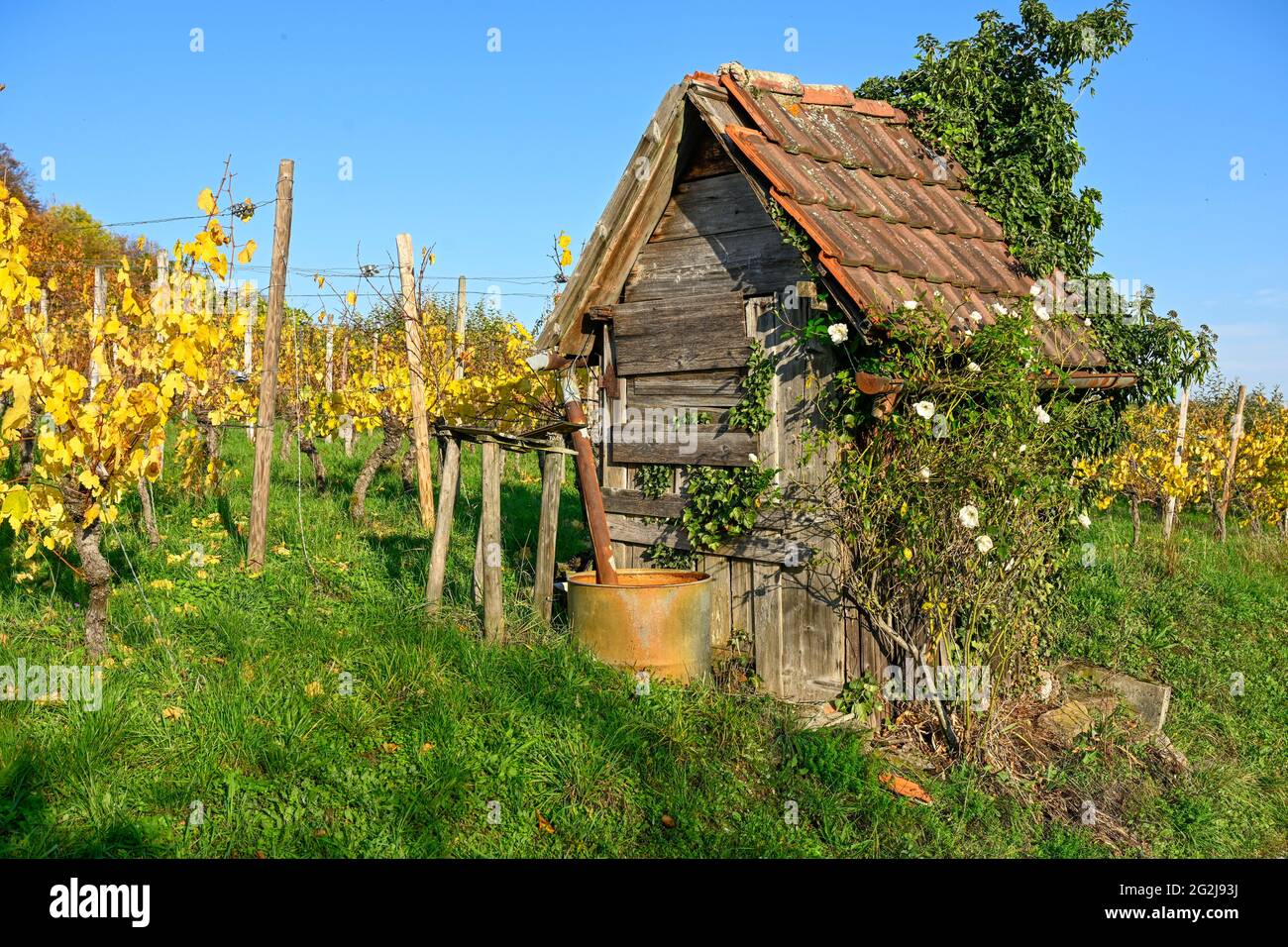 Old neglected hut hi-res stock photography and images - Alamy