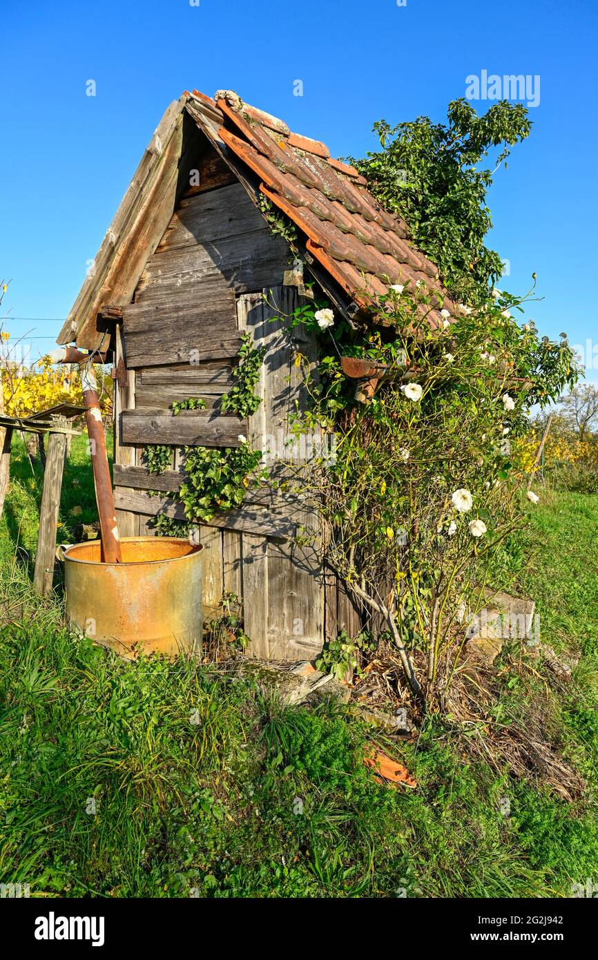 Roses hut hi-res stock photography and images - Alamy