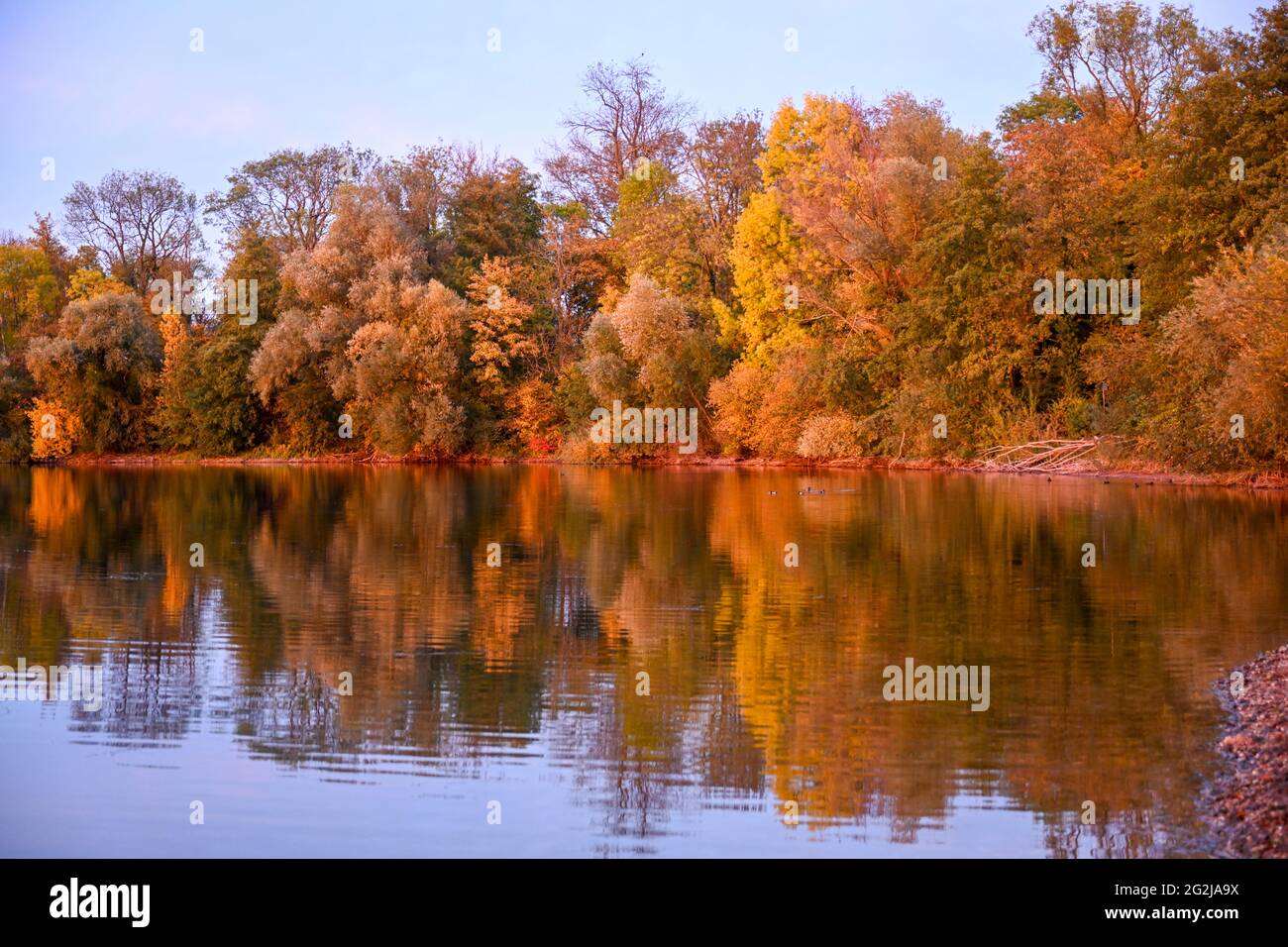 Germany, Baden-Wuerttemberg, Karlsruhe, blue hour at Grötzinger ...