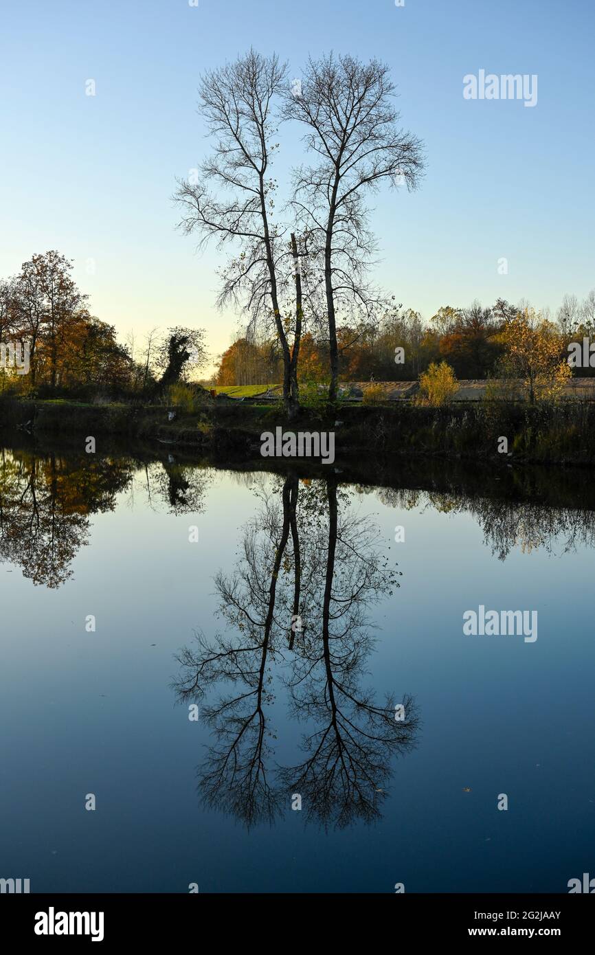 Au am rhein hi-res stock photography and images - Alamy