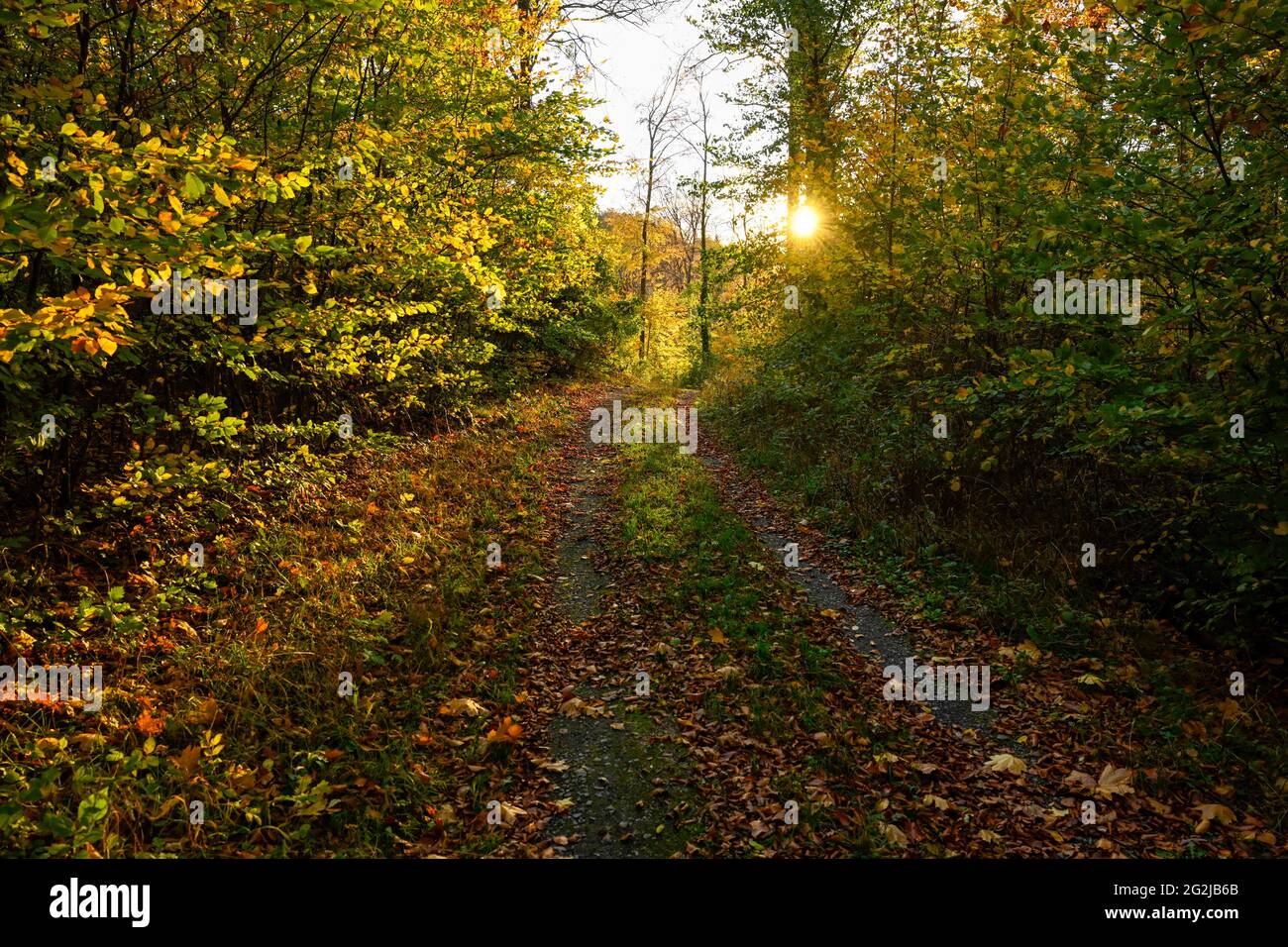 Sunbeams october hi-res stock photography and images - Alamy