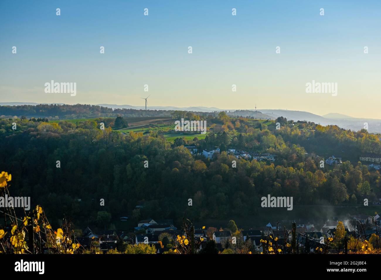 Germany, Baden-Wuerttemberg, Weingarten (Baden), view in south ...