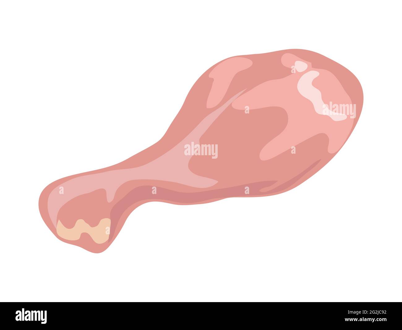 Chicken leg vector isolated on white background Stock Vector Image ...