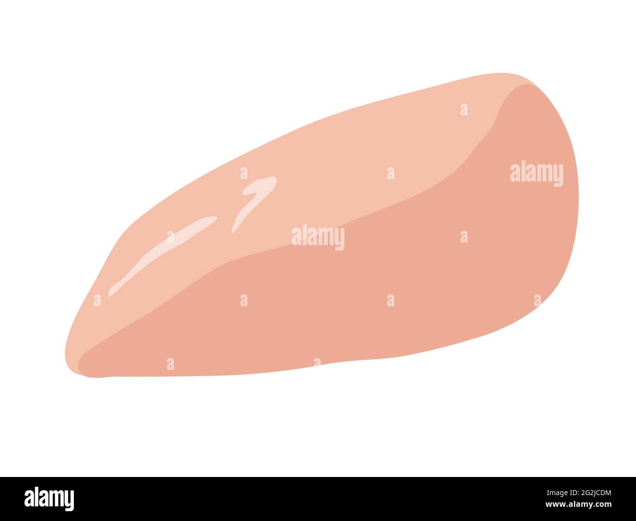 Chicken meat fresh piece vector isolated on white background Stock ...
