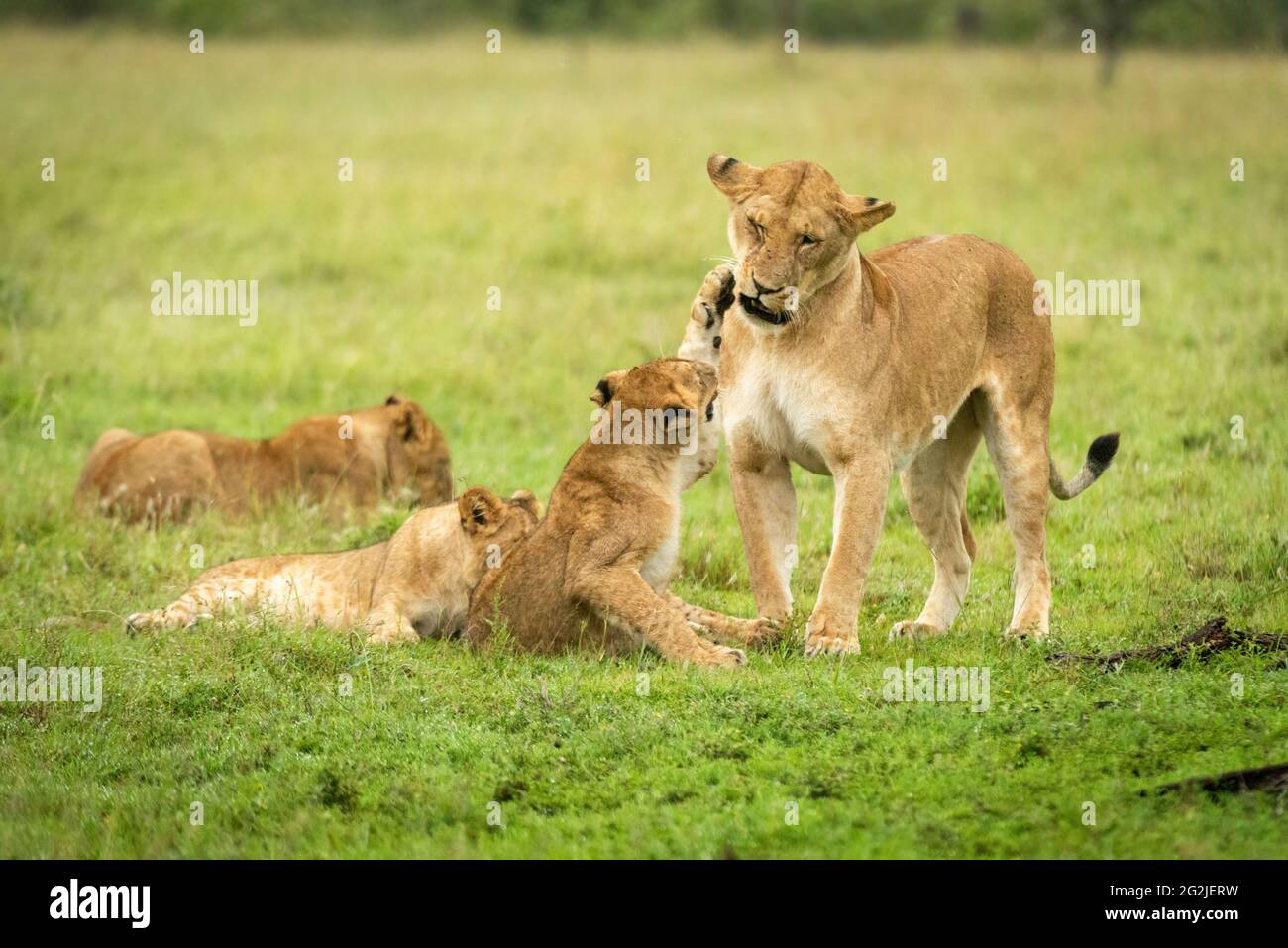 Baby slap hi-res stock photography and images - Alamy