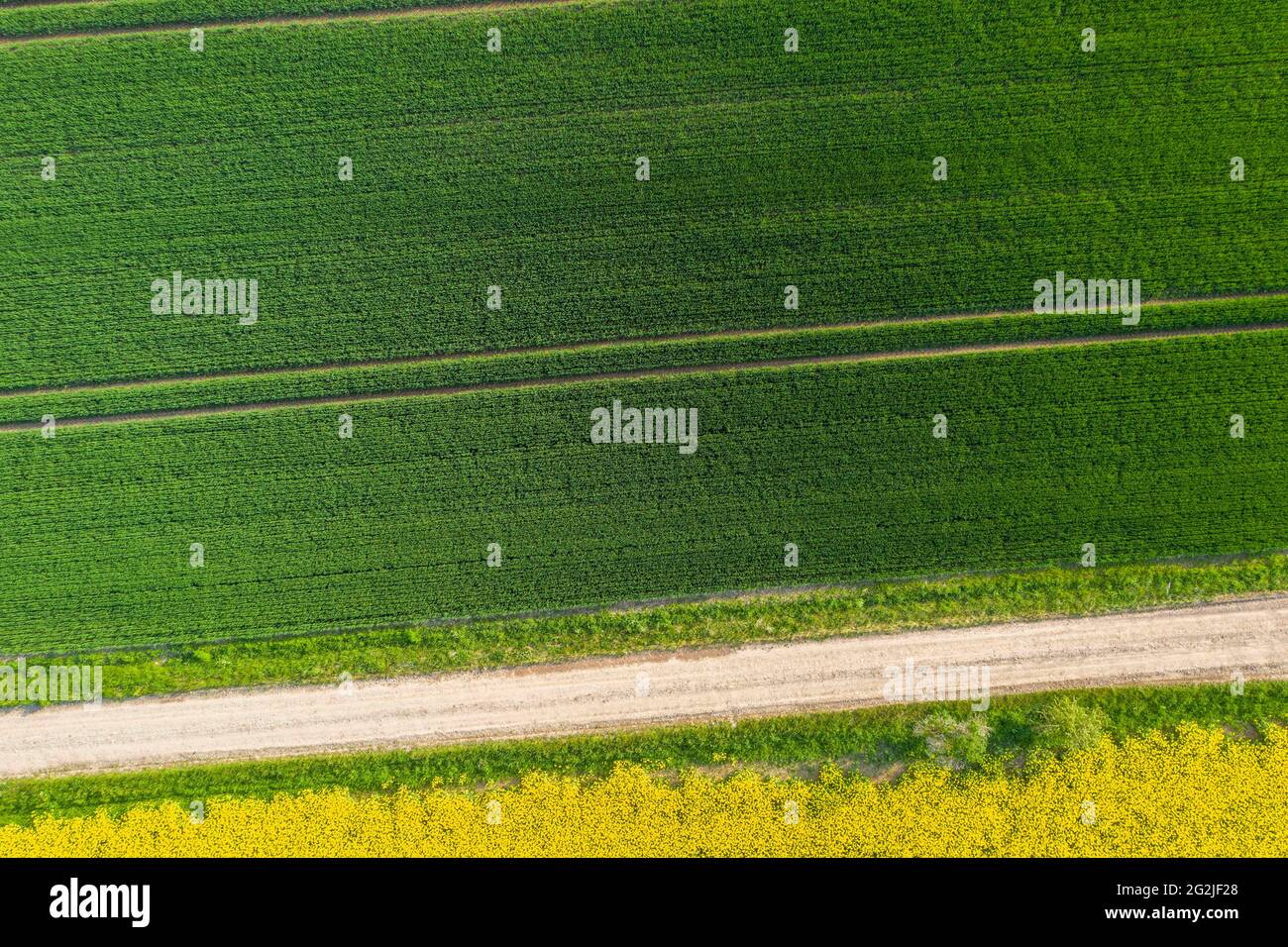 A field, field from a bird's eye view Stock Photo - Alamy