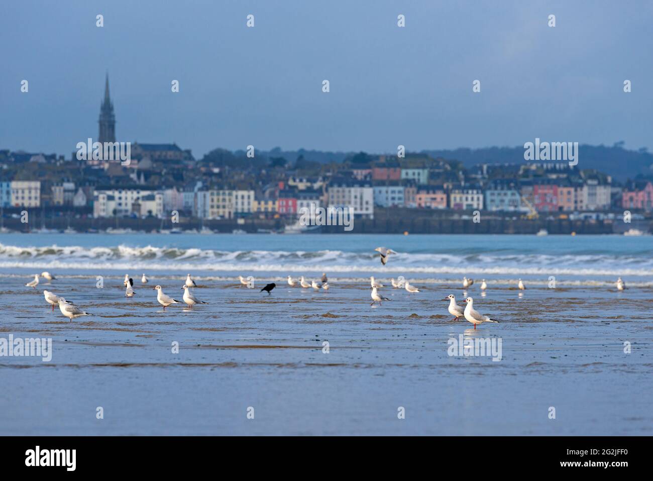 Plage du ris hi-res stock photography and images - Alamy