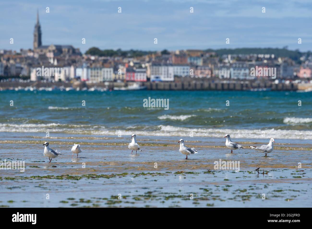 Plage du ris hi-res stock photography and images - Alamy