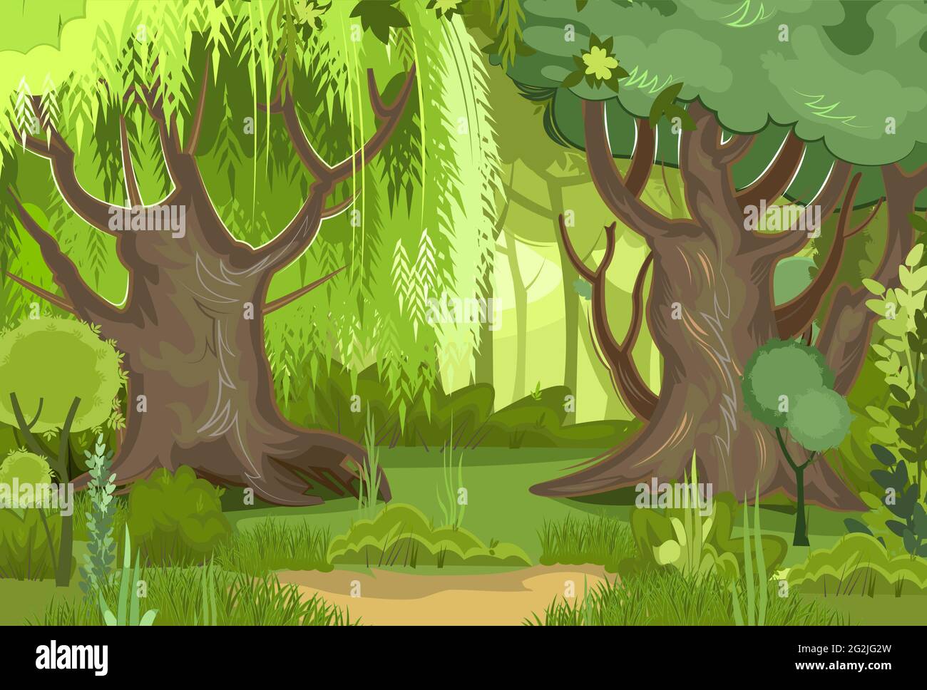 Summer forest landscape. Dense foliage, shrubs and a clearing at the ...