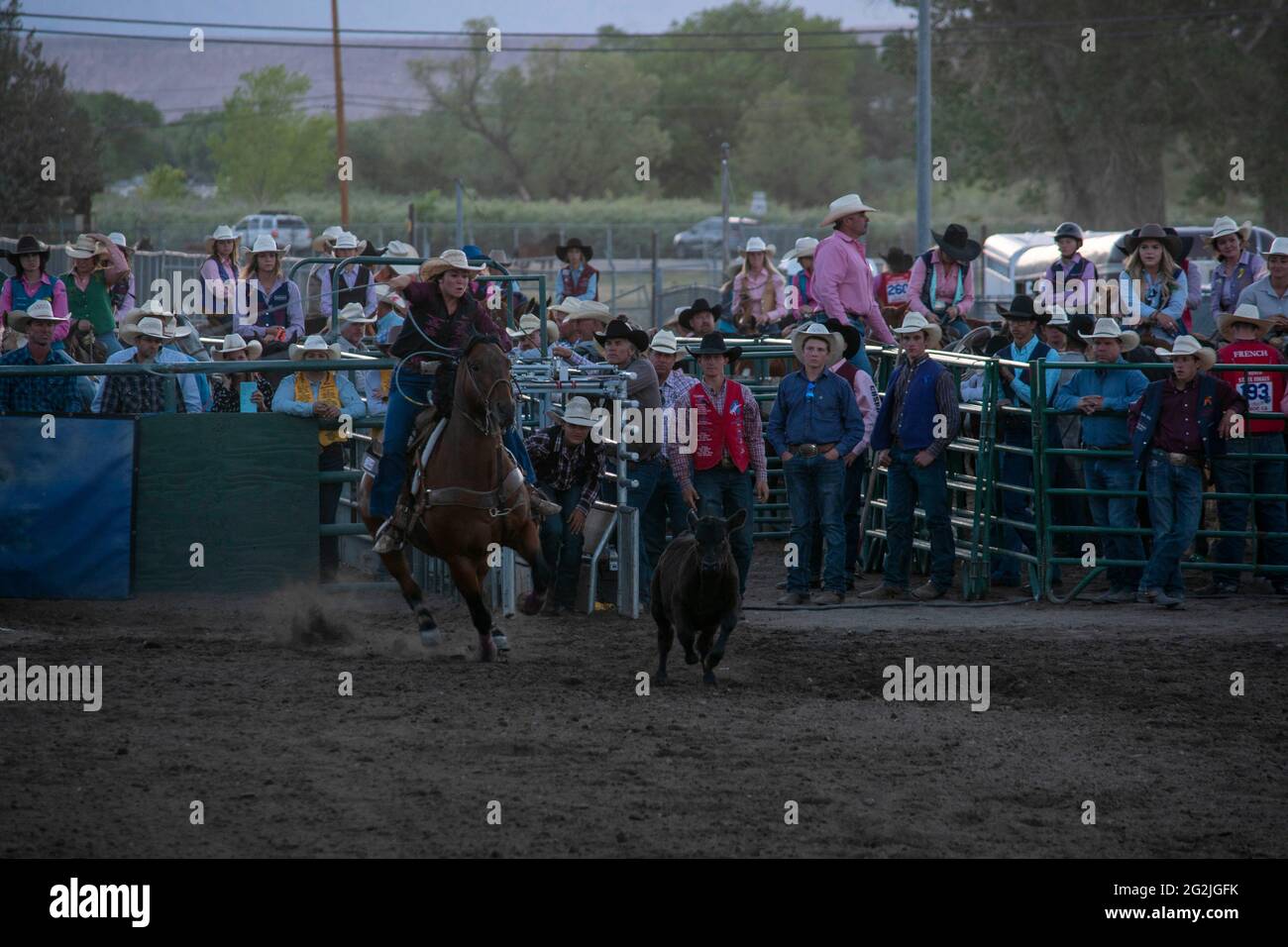 The California High School Rodeo State Championship was held in Bishop ...