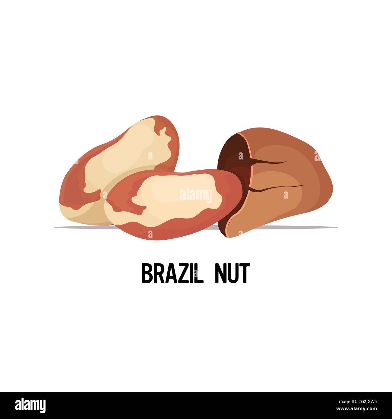 Concept of brazilian food Stock Vector Images - Alamy