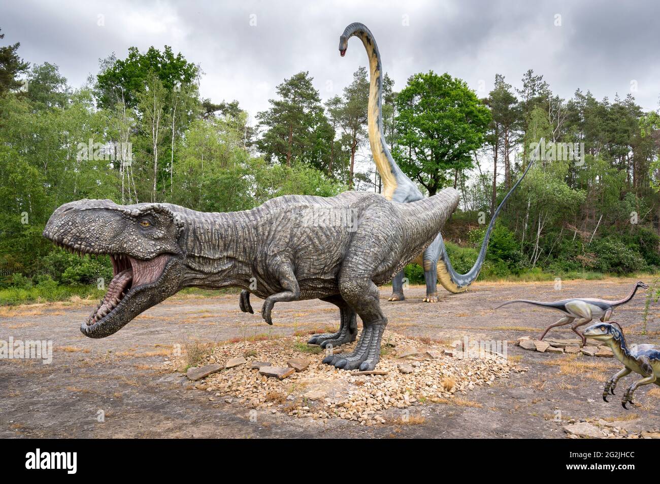 Tyrannosaurus and other dinosaurs as models in Dinopark Münchehagen ...