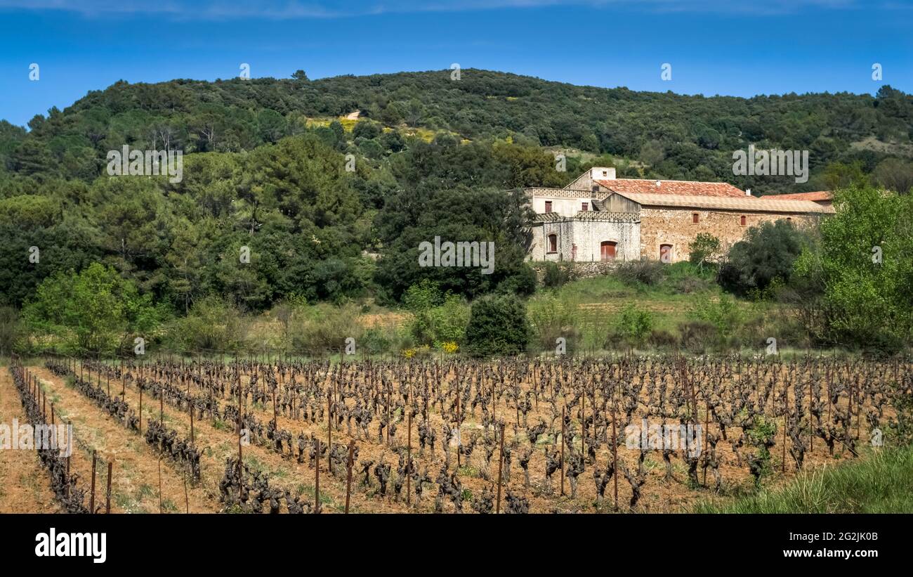 Saint chinian vineyard hi-res stock photography and images - Alamy