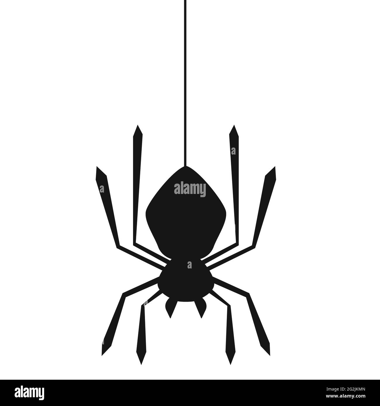 Spider Hanging From Web On White Background, 3d Rendering Stock Photo