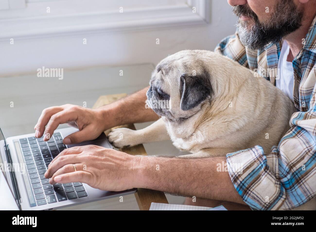 Typing on computer laptop hi-res stock photography and images - Alamy