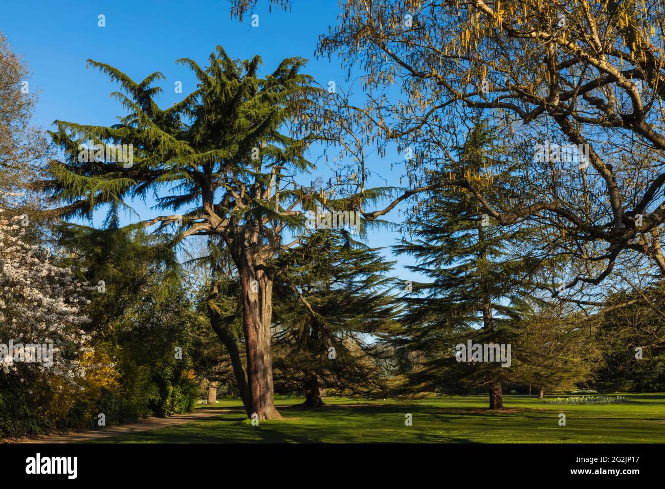 Garden trees hi-res stock photography and images - Alamy