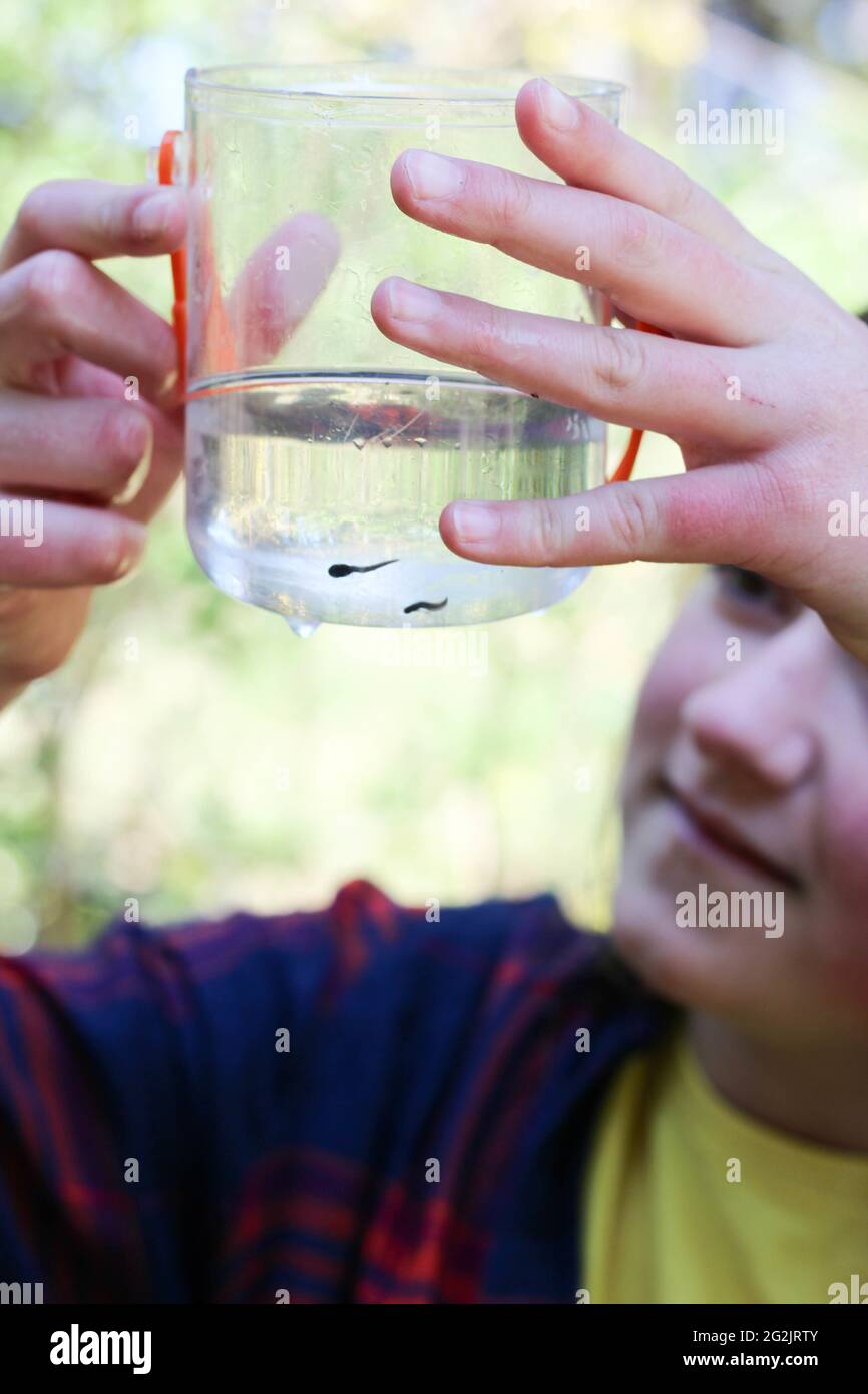 Tadpoles child hi-res stock photography and images - Alamy