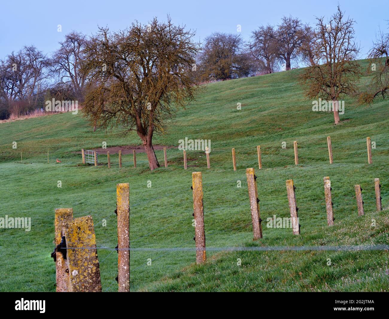 Grassland slope hi-res stock photography and images - Alamy