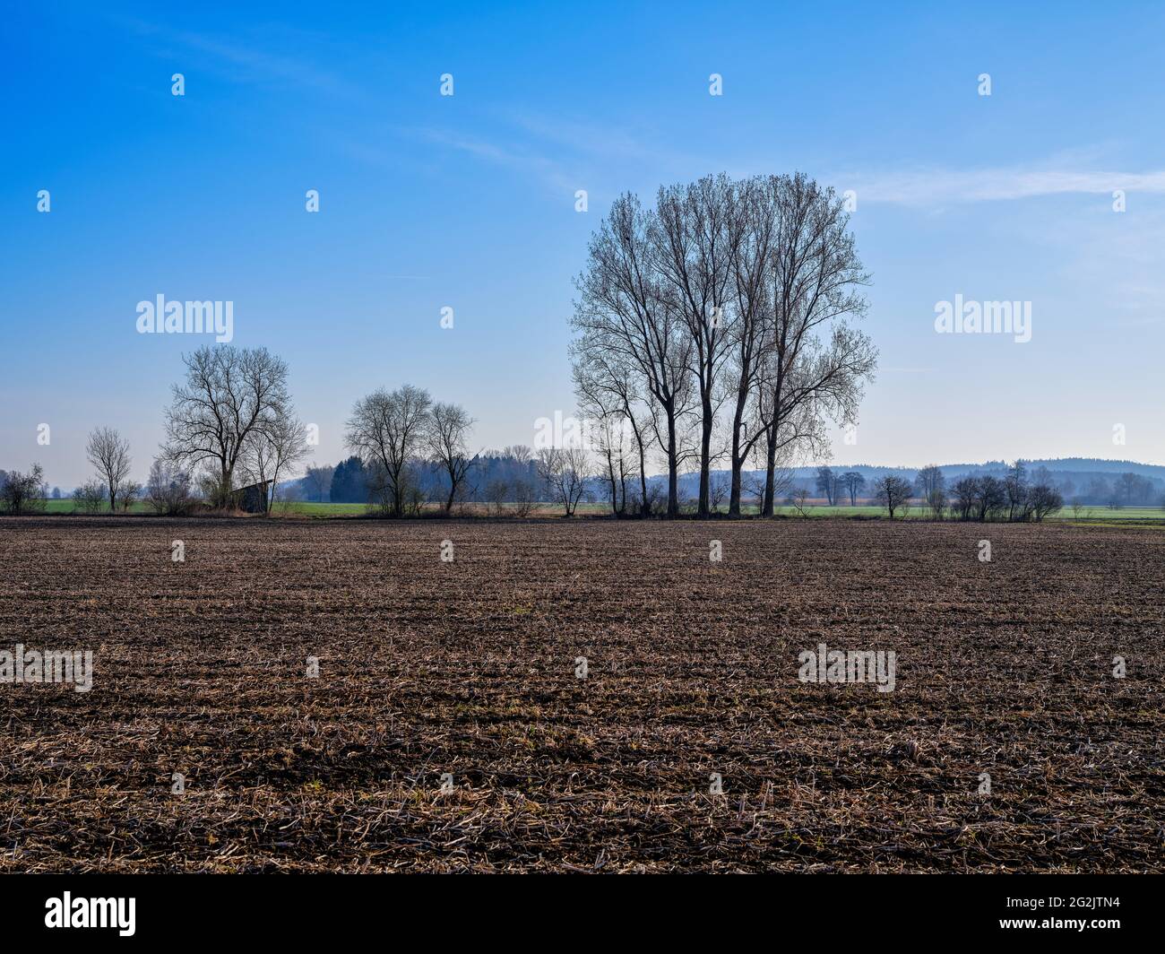 Field, arable land, meadows, trees, rows of trees, hedges, agricultural ...