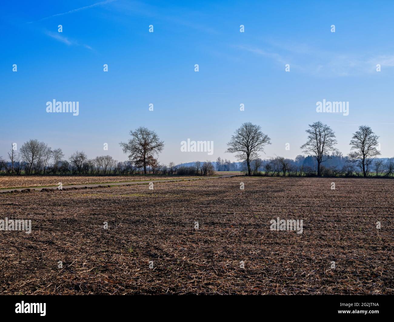 Field, arable land, meadows, trees, rows of trees, hedges, agricultural ...