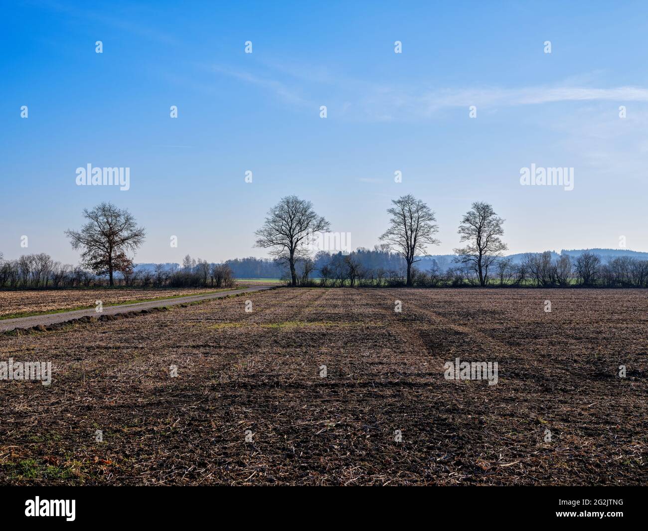 Field, arable land, meadows, trees, rows of trees, hedges, agricultural ...