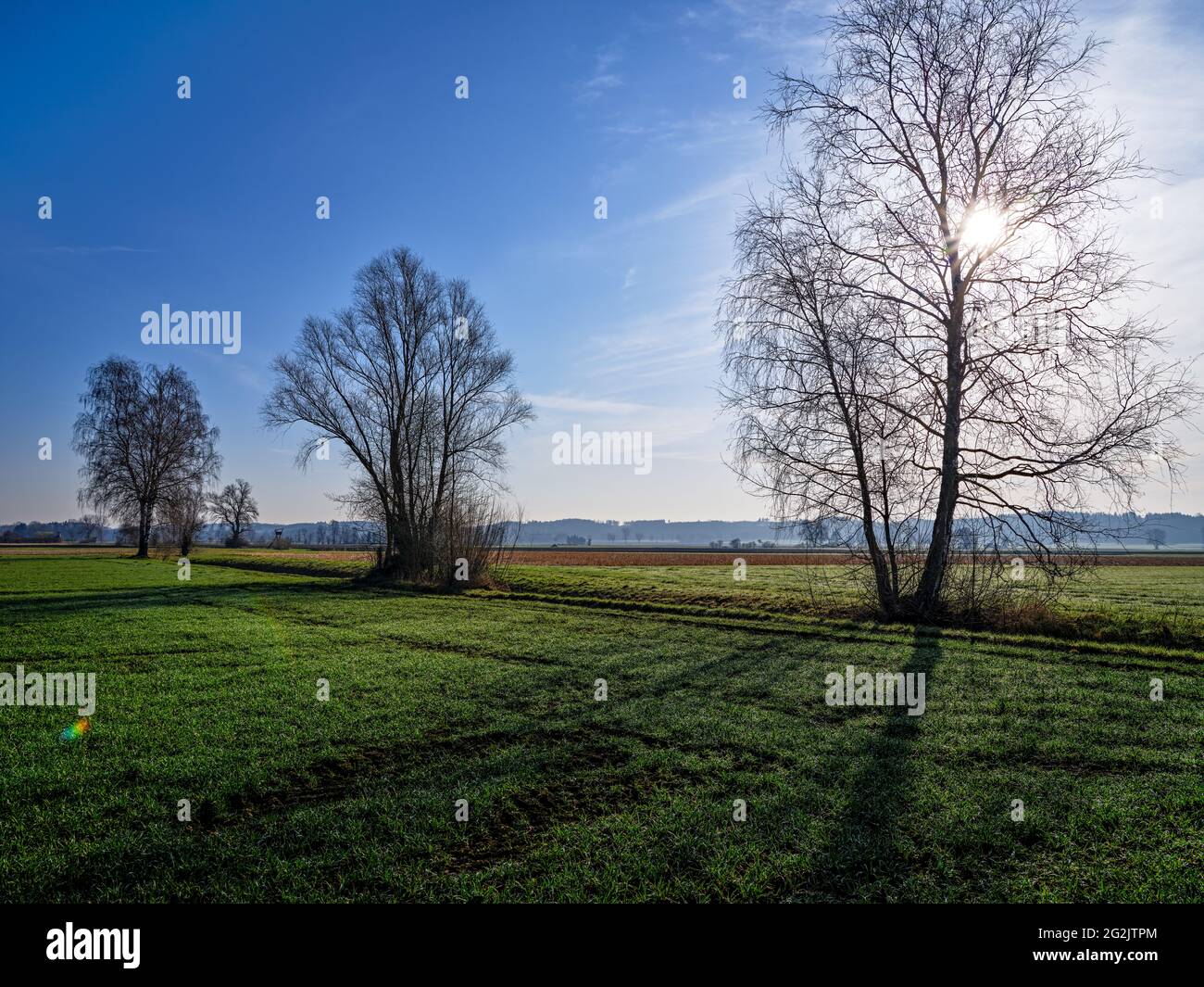 Field, arable land, meadows, trees, rows of trees, hedges, agricultural ...