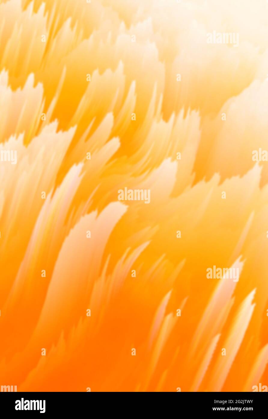 Vivid orange color hi-res stock photography and images - Alamy