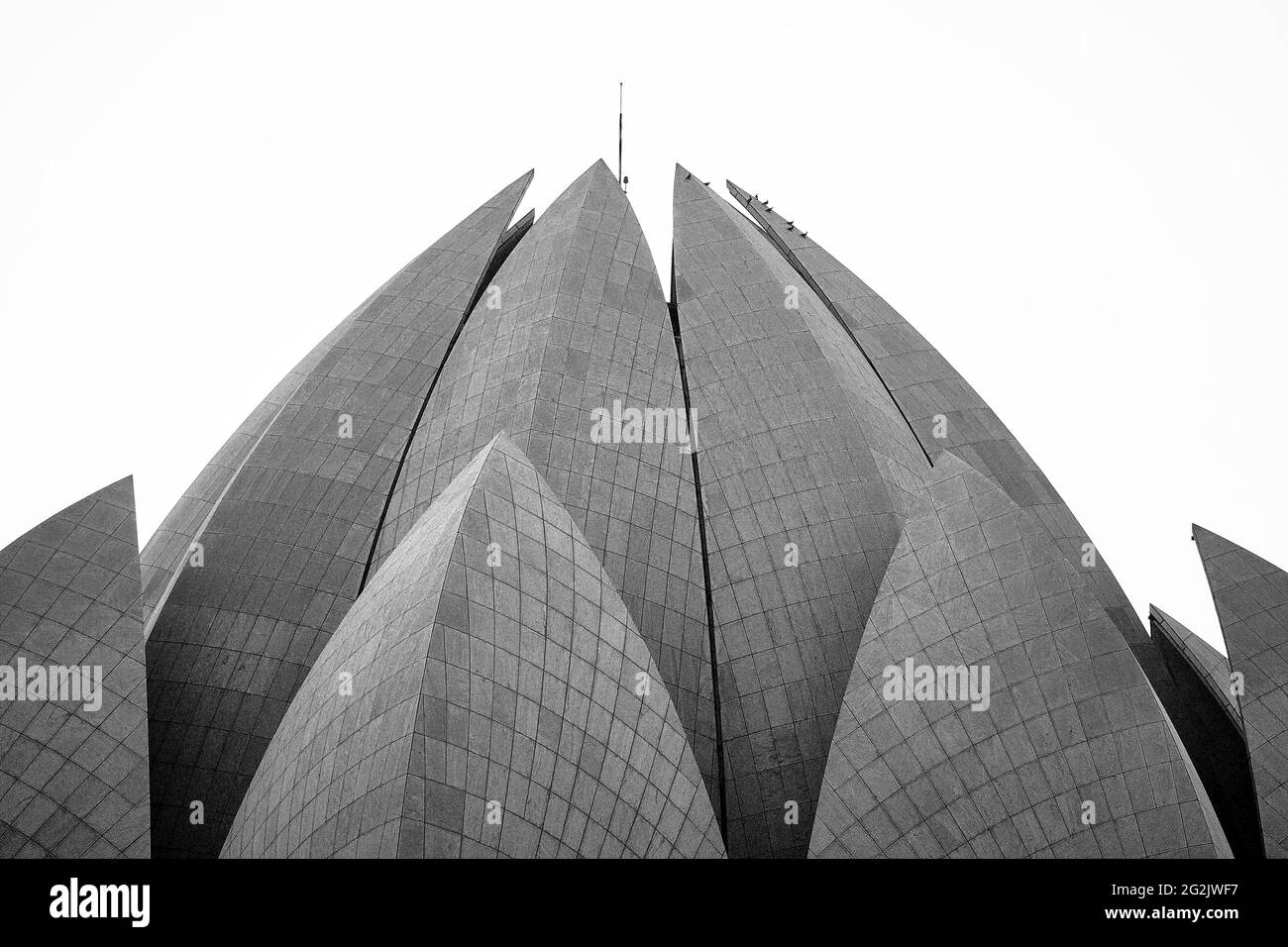 Closeup of Lotus Temple petals, Delhi Stock Photo - Alamy