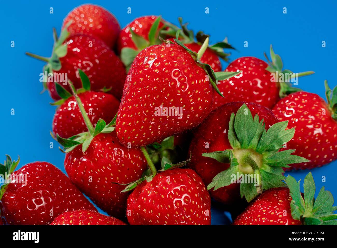 Bunch of strawberries on blue background. Red berry summer seasonal ...