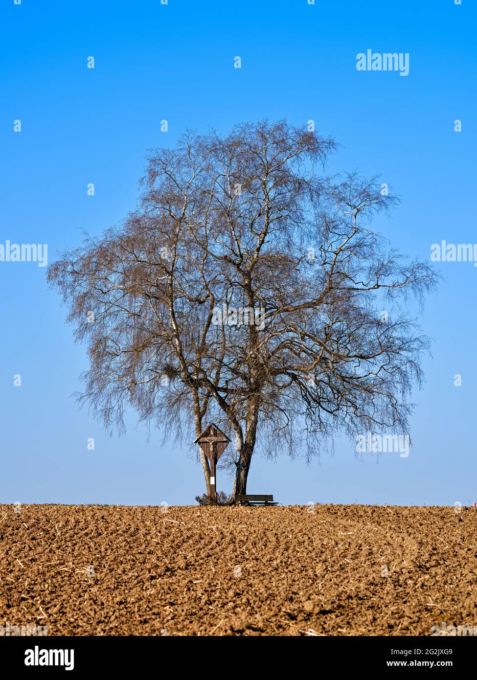 Cross bench hi-res stock photography and images - Alamy