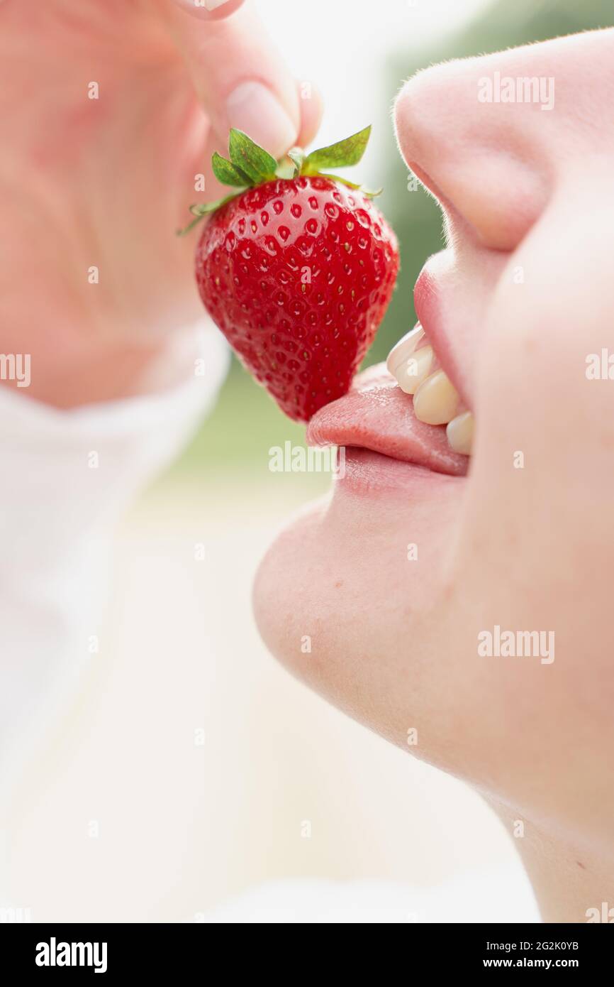 Woman enjoy strawberry close-up. Kisses and tastes strawberry. Seasonal ...