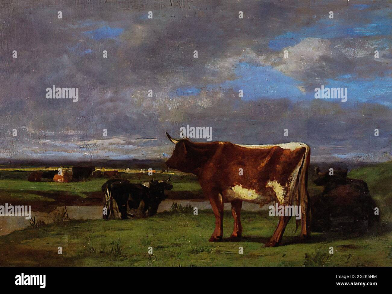 Western painting cows hi-res stock photography and images - Alamy