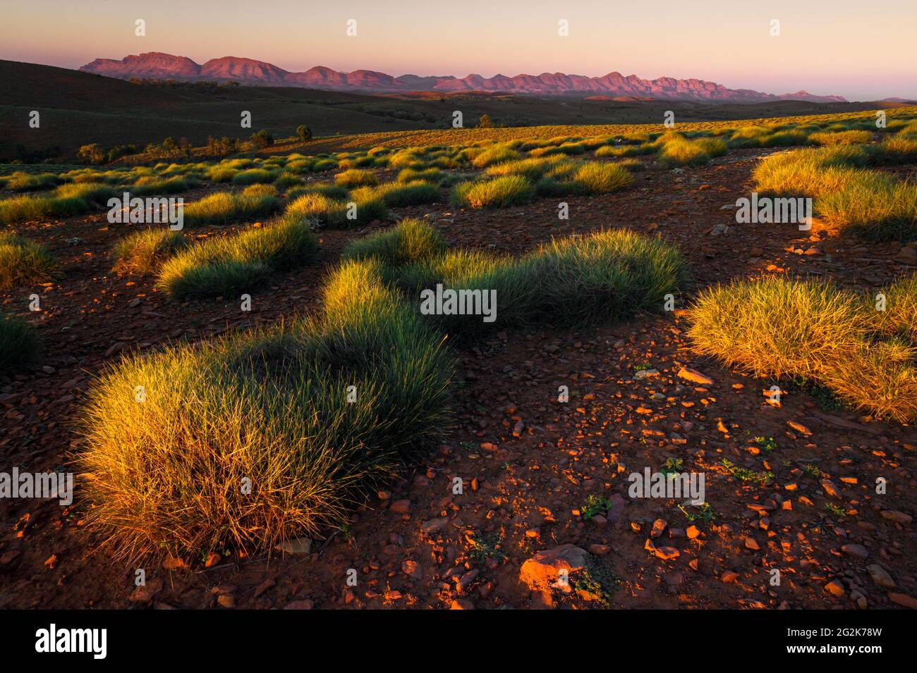Typical australian outback scenery in Flinders Ranges Stock Photo - Alamy