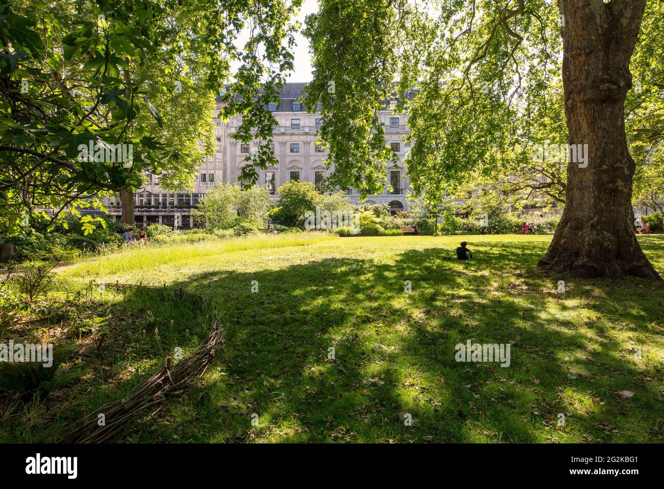 The garden of St James's Square, London in summer; the garden is ...