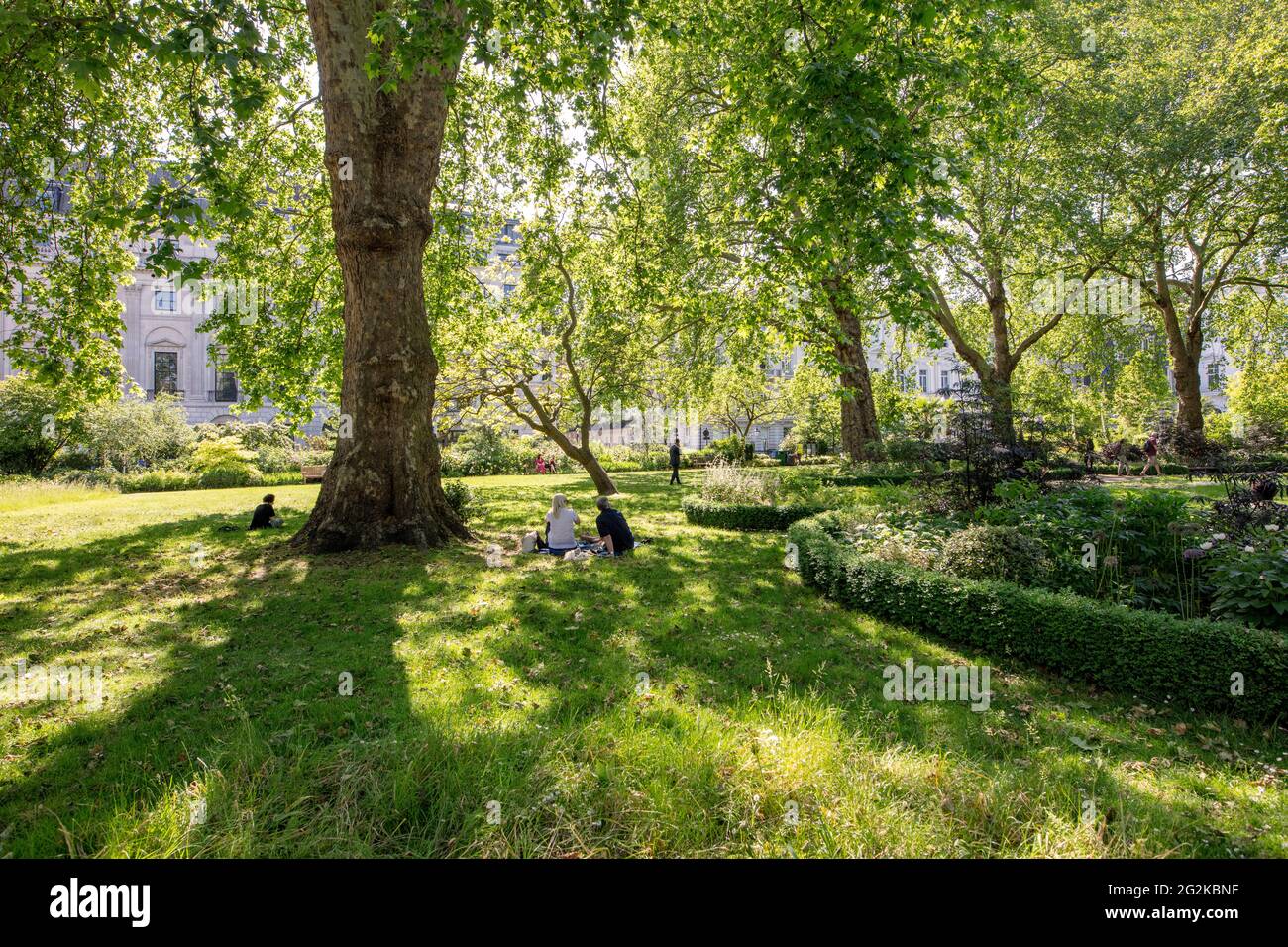 The garden of St James's Square, London in summer; the garden is ...
