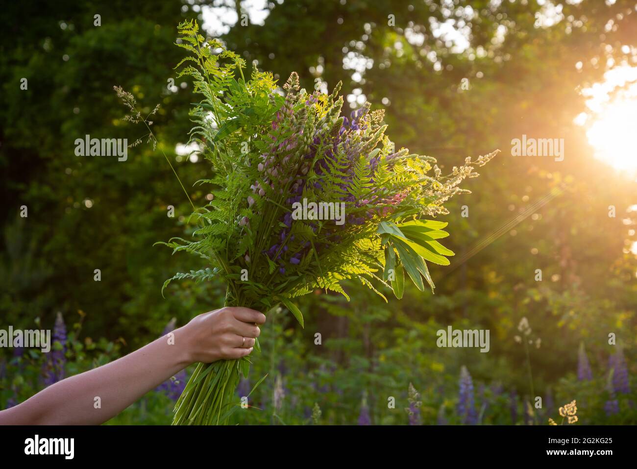 Woman hand holding a bouquet of midsummer themed flowers. Fern, lupine ...