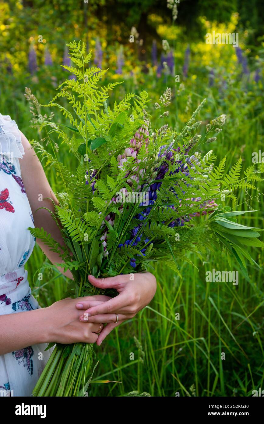 Beautiful woman holding a bouquet of lupine flowers during Midsummer ...