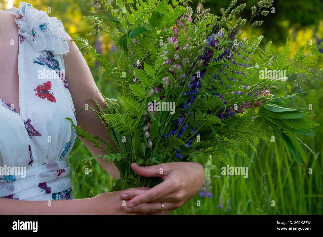 Beautiful woman holding a bouquet of lupine flowers during Midsummer ...