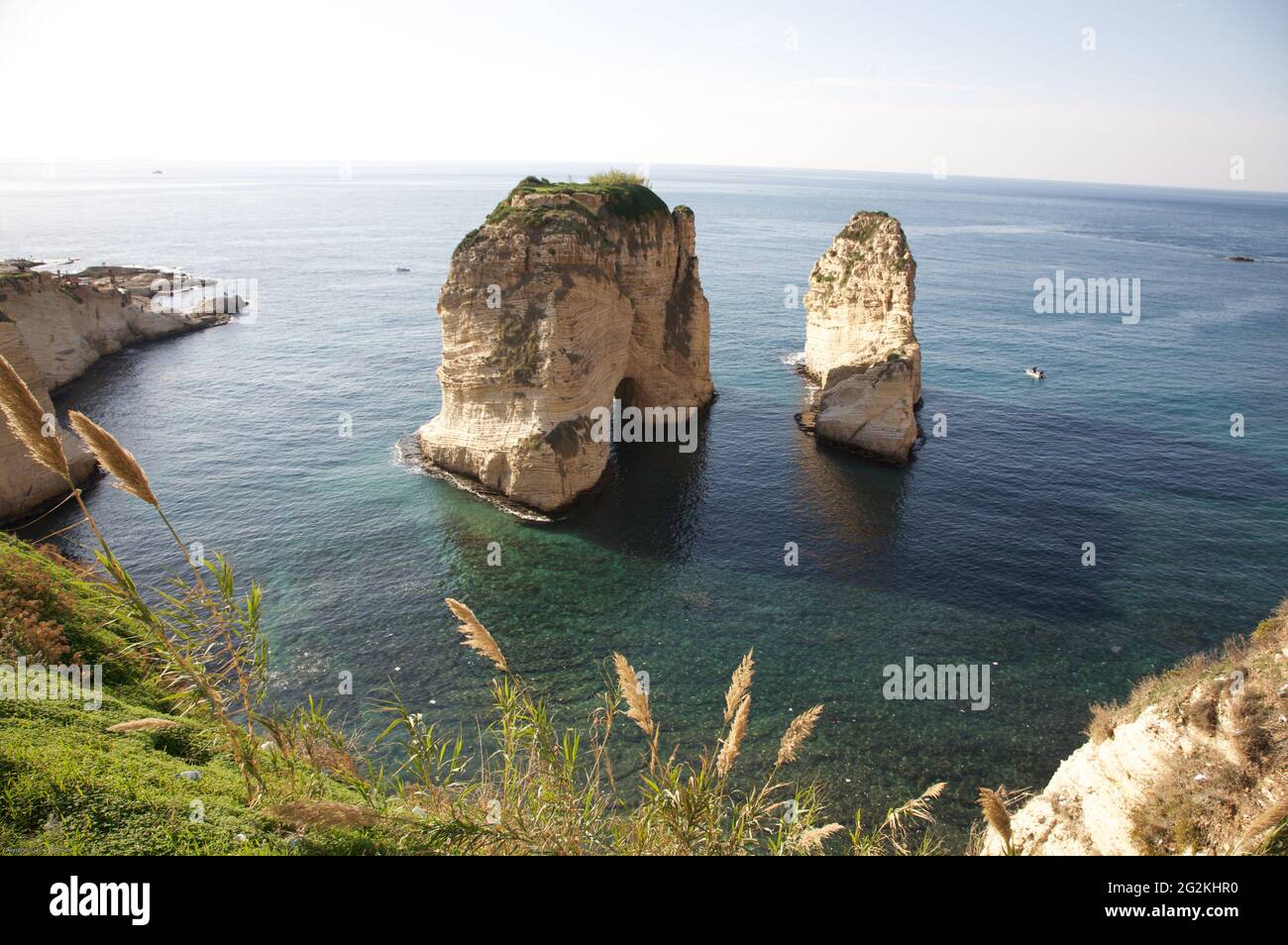 Waterfront pigeon hi-res stock photography and images - Alamy