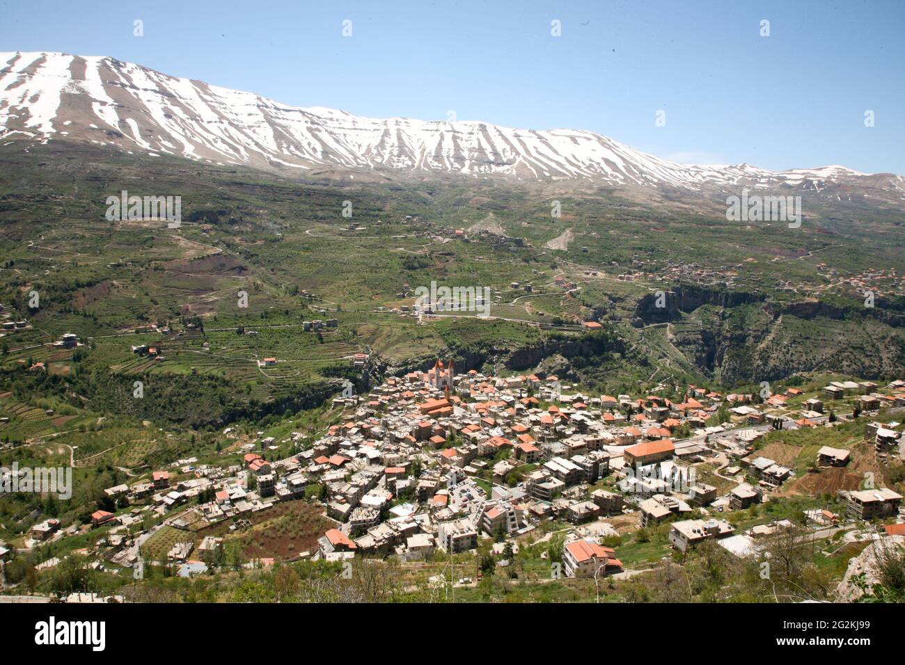 Cedars of bcharre hi-res stock photography and images - Alamy