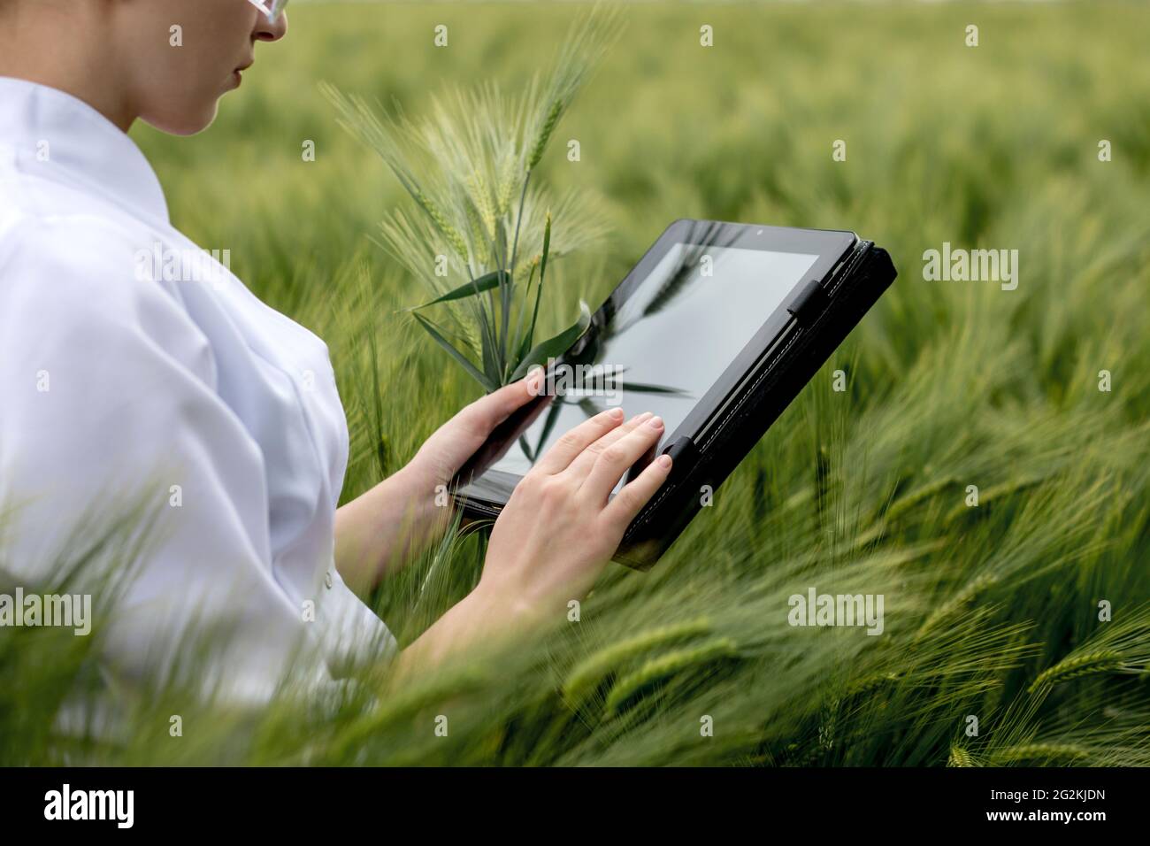 Young female ecologist scientist in goggles standing in green field and ...