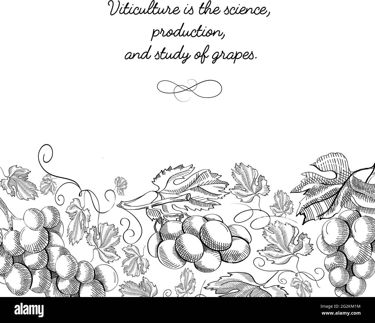 Foliated Scroll High Resolution Stock Photography and Images - Alamy