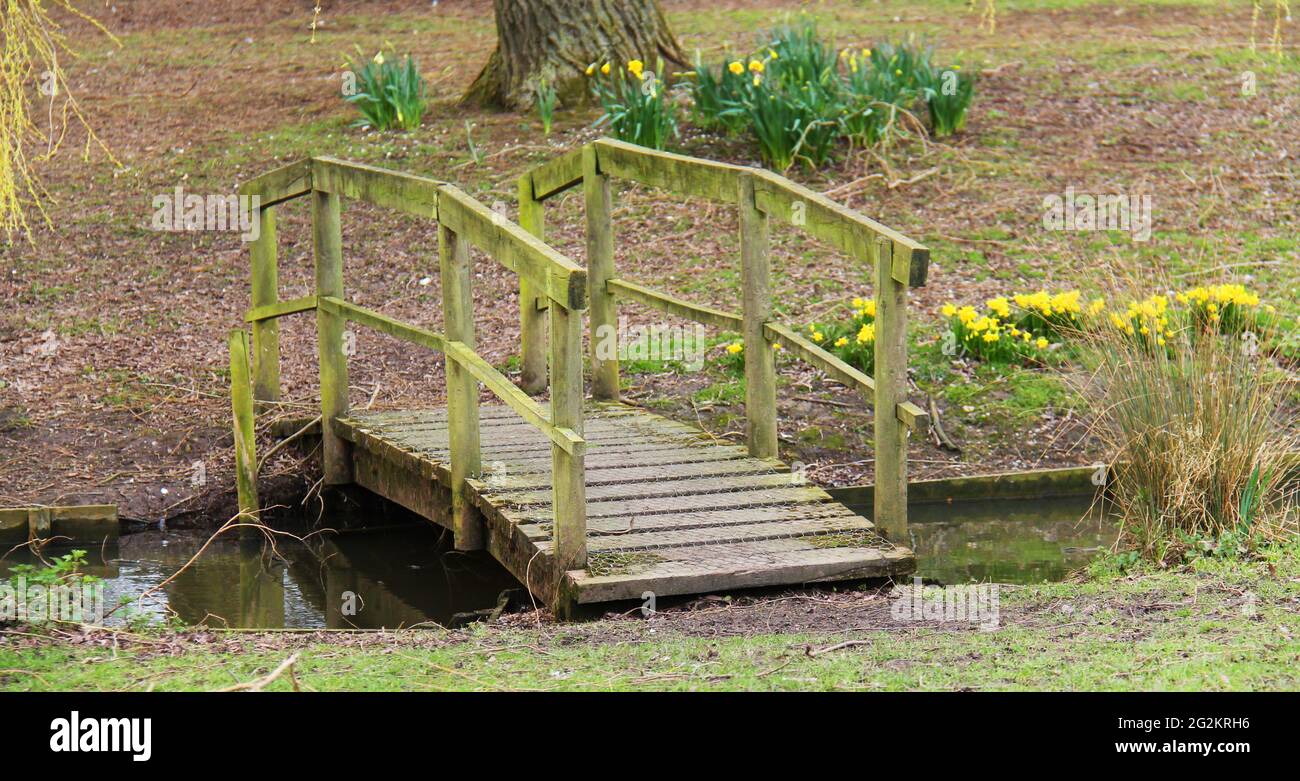 A Rustic Wooden Bridge Over a Small Woodland Stream Stock Photo - Alamy